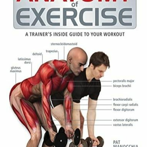 Stream Pdf Book Anatomy Of Exercise A Trainer S Inside Guide To Your