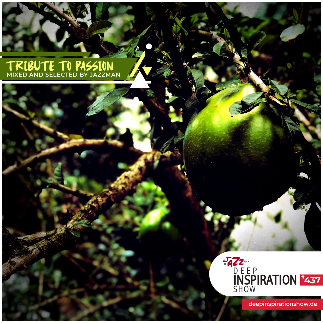 Stream From P60 / Midnight Fashion Records | Listen to Mixek playlist ...