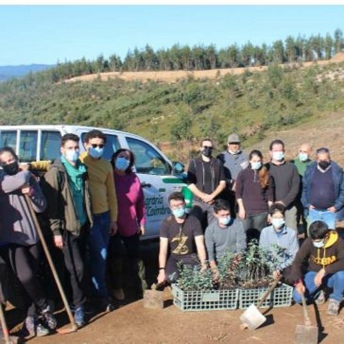 Stream Filomena Gomes Escola Superior Agrária De Coimbra by Rádio Clube ...