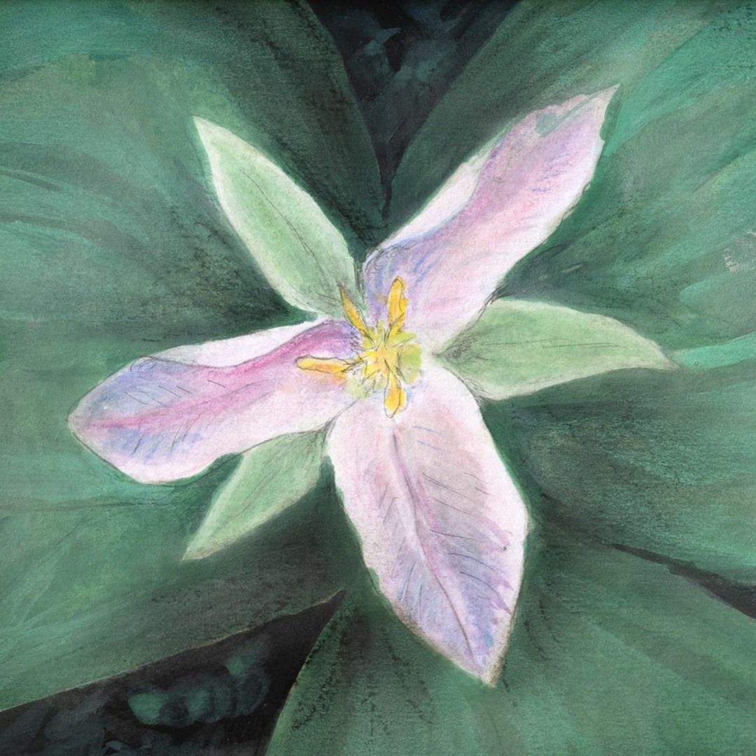 Stream The Last Of Them by Christopher Kinman | Listen online for free ...