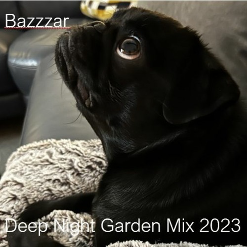 Stream Bazzzar Deep Night Garden 2023 by bazzzar | Listen online for ...