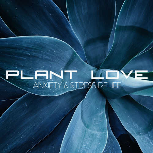 Stream 528 Hz Activate Healing By Plant Love Listen Online For Free
