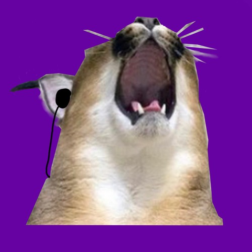 Stream Gosha Kerr (Floppa Riddim) by Appolf | Listen online for free on ...