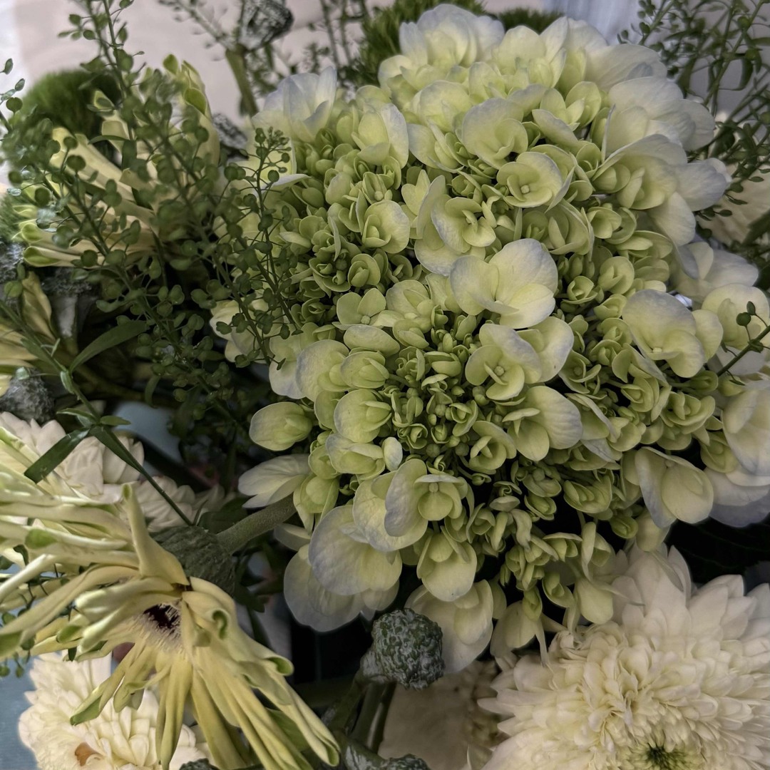 Stream Dinh Nguyen V3 | Listen to Bồng Bềnh playlist online for free on SoundCloud