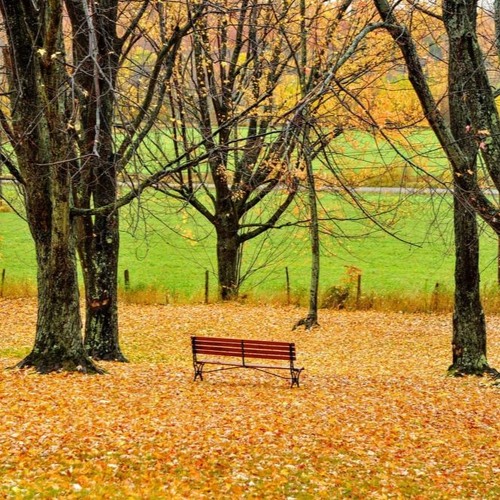 Stream [Lo-Fi Hip-Hop Beat] Social Distancing In A Park (Prod. Weed ...