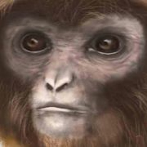 Stream episode when you go into a cave of masterbating Monkey?!? by ...