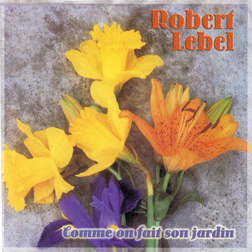 Stream Regardez les oiseaux du ciel by Robert Lebel | Listen online for ...
