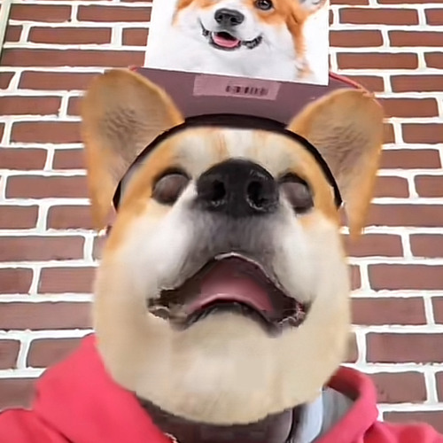 Stream Bloodclat Dog pt 2 #jerseyclub by prodbycpkshawn | Listen online ...