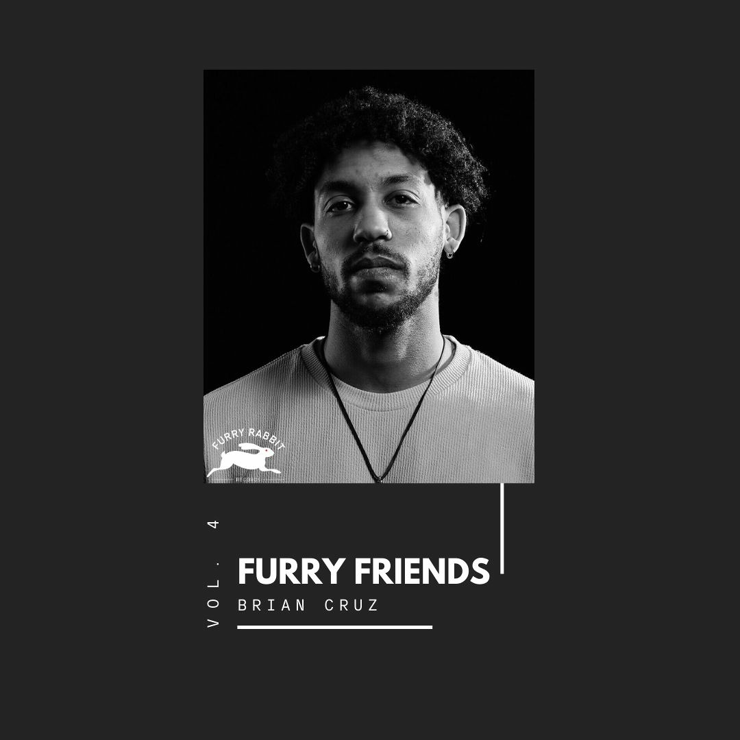 Listen to FURRY FRIENDS: VOL. 4 - Brian Cruz by Furry Rabbit Records in ...