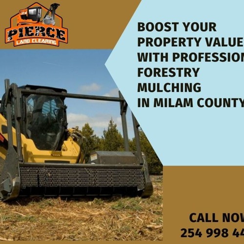 Stream Boost Your Property Value With Professional Forestry Mulching In ... Stream Boost Your Property Value With Professional Forestry Mulching In ...