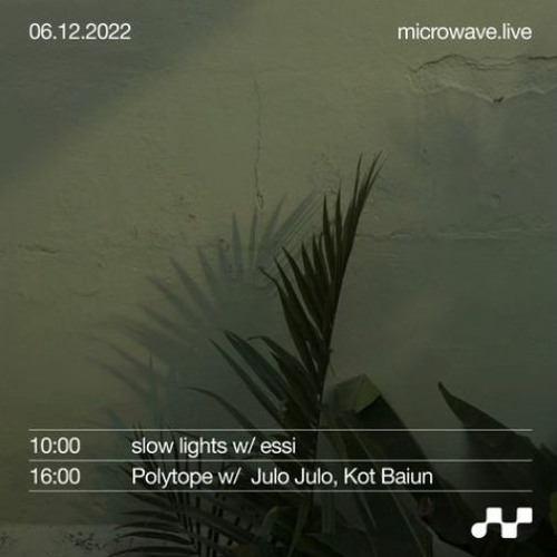 Stream 06.12.2022 Polytope w/ julo julo by microwave.live | Listen online for free on SoundCloud