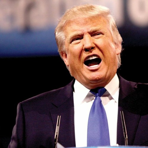 Stream Trump on Fox Radio by Eric Dolan | Listen online for free on ...