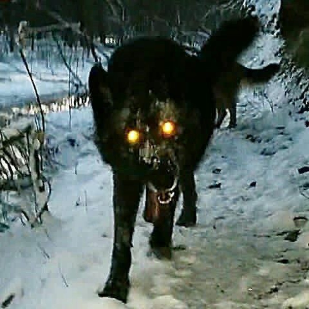 Stream 1000 (Feat. Cameron Phlodge) by PopKill | Listen online for free ...