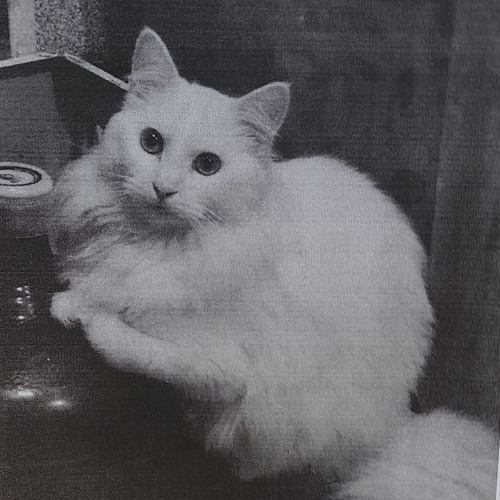 Stream Lisa The Hopeful OST - East European Sax Party (Secret Boss ...