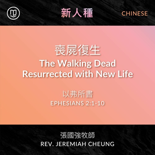 Stream 喪屍復生 The Walking Dead Resurrected with New Life by Christian ...