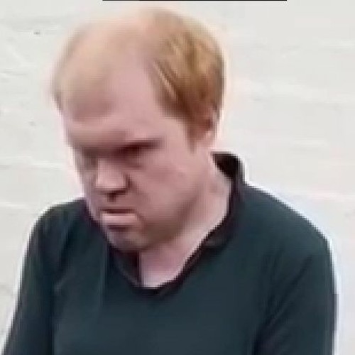 Stream Stan Said She’s 18 (Full Listen) GINGER GOBLIN NONCE by ...