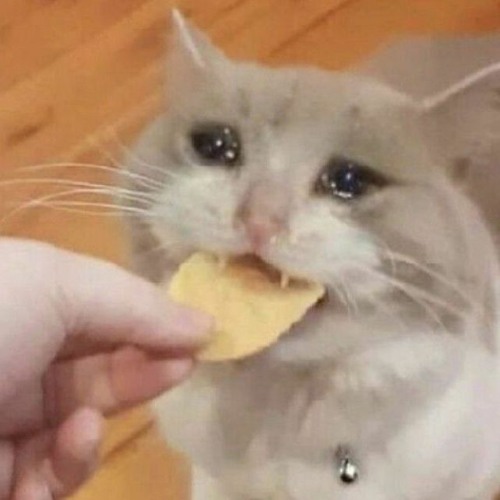 Stream bernowo | Listen to bernowos favourites 2023 playlist online for ...