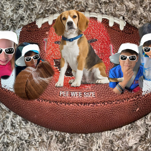 Stream Who Let The Pee Wee’s Out by Pee Wee’s | Listen online for free ...