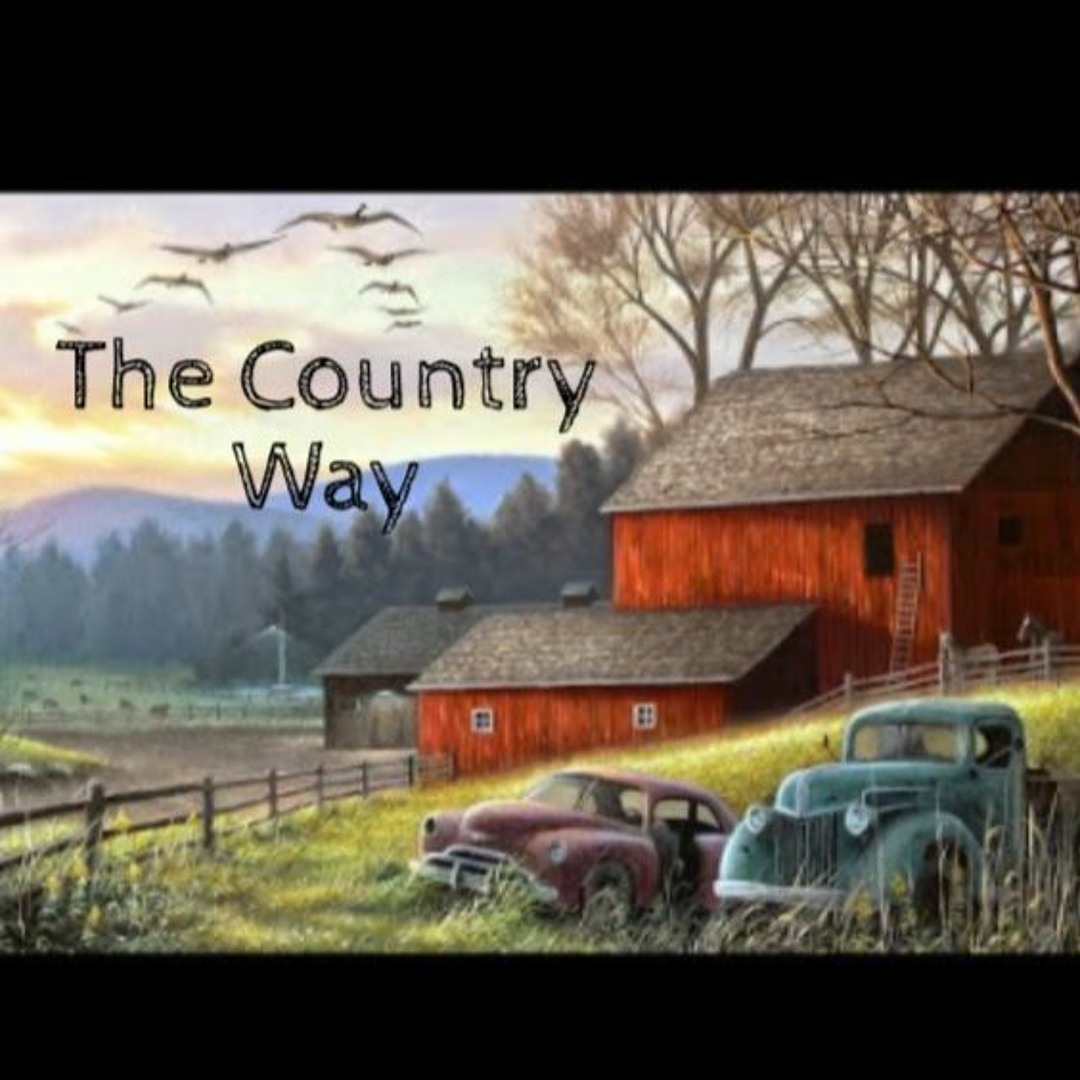 Stream The Country Way by Megan V. | Listen online for free on SoundCloud