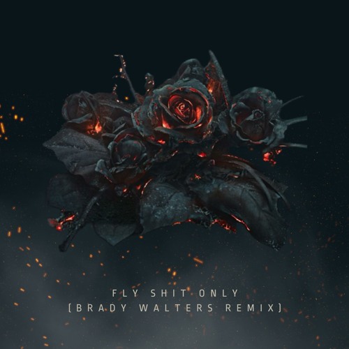 Stream Future - Fly Shit Only (Brady Walters Remix) [Free DL] by Brady ...
