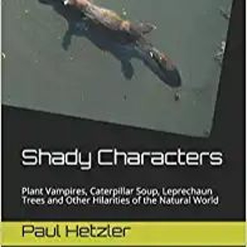 Stream Evolution - For - Fun - Paul Hetzler Podcast by Maria Corse ...