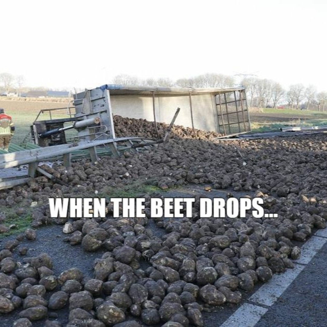 Stream DJ Niels Mix 18 (When The Beet Drops...) (oep zen kant) by Niels ...