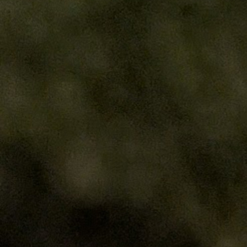 Stream Roly-Poly Parade by Plague Clock | Listen online for free on ...