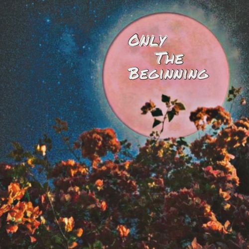 Stream Anj | Listen to Only The Beginning playlist online for free on ...