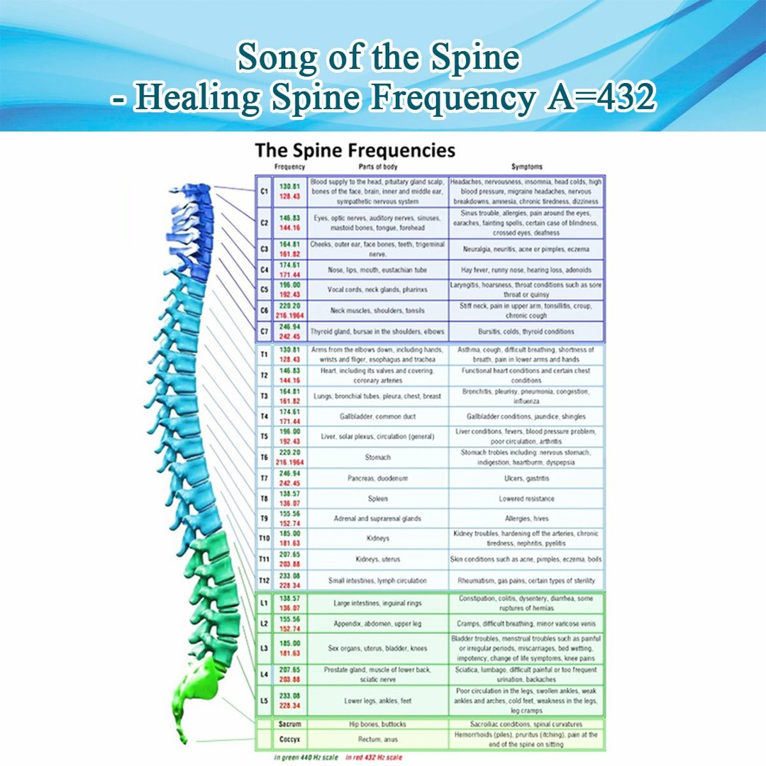 Stream Song of the Spine - Healing Spine Frequency A=432 by Spooky2 ...