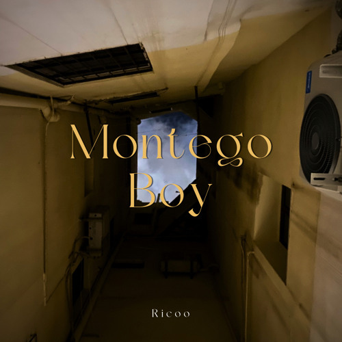 Stream Ricoo - Montego Boy by Ricoo | Listen online for free on SoundCloud