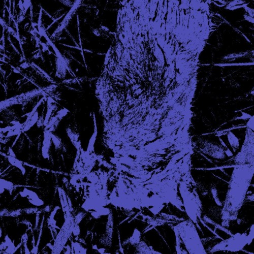 Stream These Scabs That Never Go Away by theworldisawesome.com | Listen ...