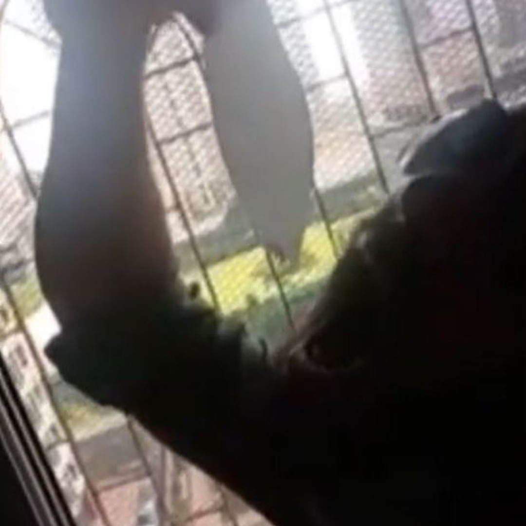 Stream Dil Chahta Hai (Cover) with Conduction Band by Mandar Phatak | Listen online for free on ...