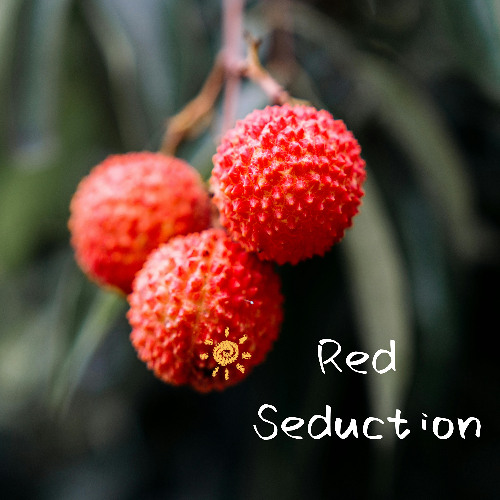 Stream Red Seduction by child wirtz | Listen online for free on SoundCloud