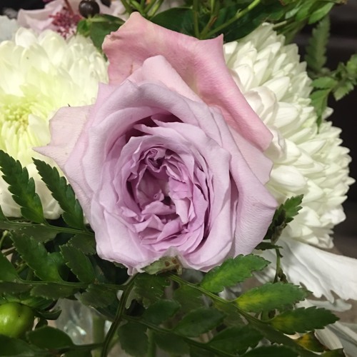 Stream How Great Thou Art- sung by Jennifer DeFreece by Jennifer ...