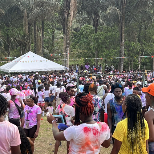 Stream PHAGWAH DAY LIVE LINDEN 2023 by DJ GARWIN GUYANA | Listen online ...