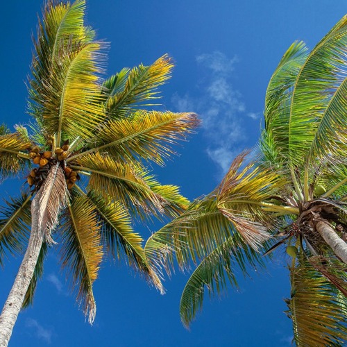 Stream studio background (FREE DOWNLOAD) by For Video | Listen online ...