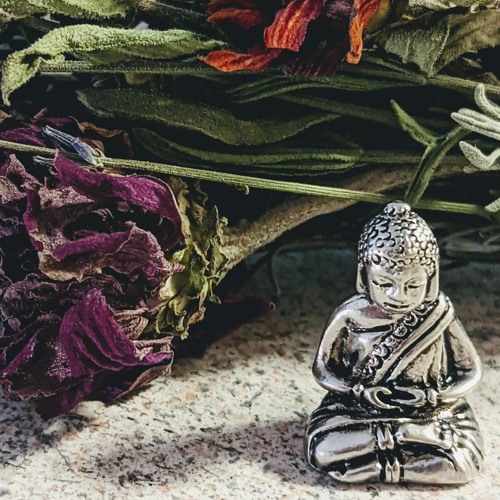 Stream Carousel by Mark Miceli | Listen online for free on SoundCloud