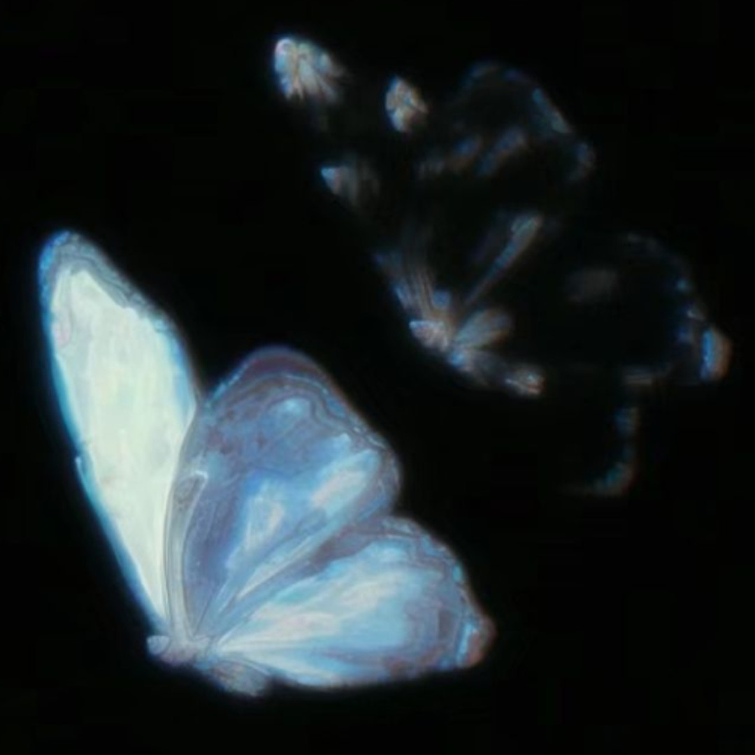 Stream The Line - Twenty One Pilots (Live Debut from The Game Awards ...