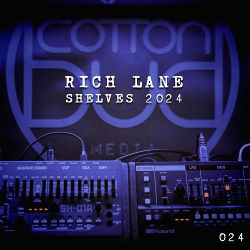 Stream Rich Lane - Shelves (Chug Norris Decade Remix) by Rich Lane ...