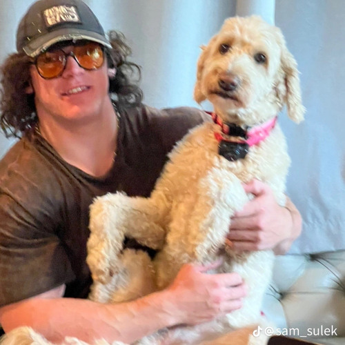 Stream SAM SULEK BULK (Sione Menace Bass Boosted) by unoptimal lifter ...