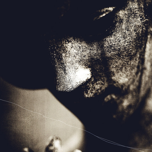 Stream It's Not What You Think by Heavy Water Factory | Listen online ...