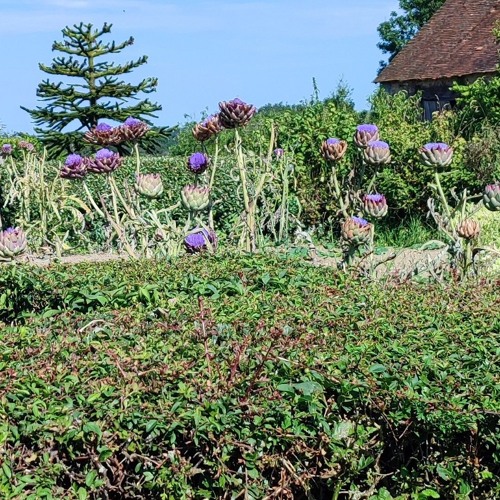 Stream Wash over me by Chris Buggy | Listen online for free on SoundCloud