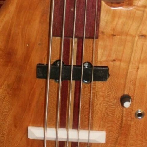 Stream faceless bassist | Listen to Wishbass Adventures playlist online ...