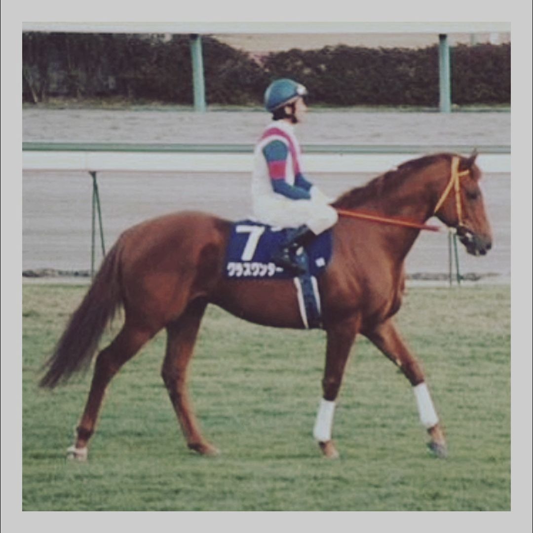 Stream grass wonder [s-smp] by john "joy" tay | Listen online for free on SoundCloud