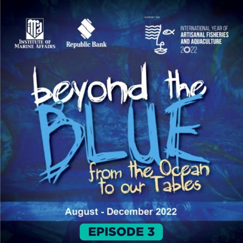 Stream Beyond the Blue - Season IV Episode 3 by IMAgovTT | Listen online for free on SoundCloud