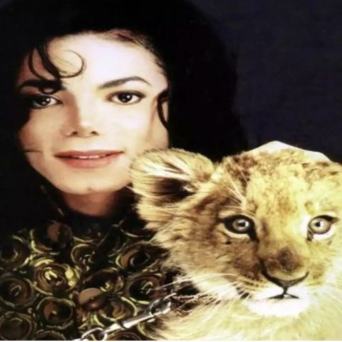 Stream Michael Jackson Burn Victim by DR BBQ 2 | Listen online for free ...