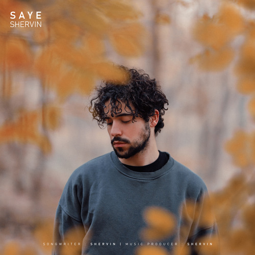 Stream slimmusic | Listen to shervin Hajipour playlist online for free ...