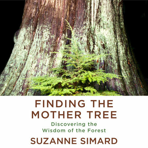Stream Finding the Mother Tree by Suzanne Simard, read by Suzanne ...