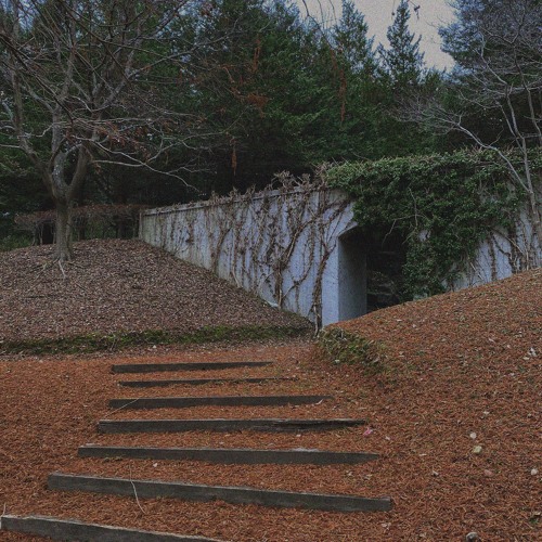 Stream two steps too late by guardin | Listen online for free on SoundCloud