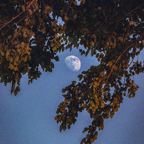 Stream (free) lofi type beat - we can leave together by Eric Godlow ...